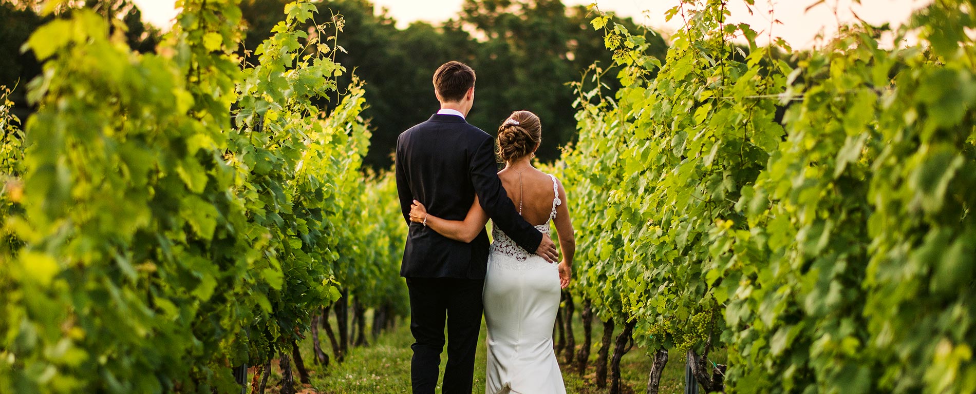 Winery Comedy Tour | Morais Vineyards & Winery | Wine & Wedding Venue ...